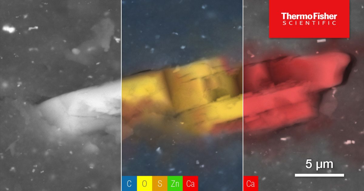 Accelerating Microscopy auf LinkedIn: #electronmicroscopy #spectroscopy ... Accelerating Microscopy auf LinkedIn: #electronmicroscopy #spectroscopy ...