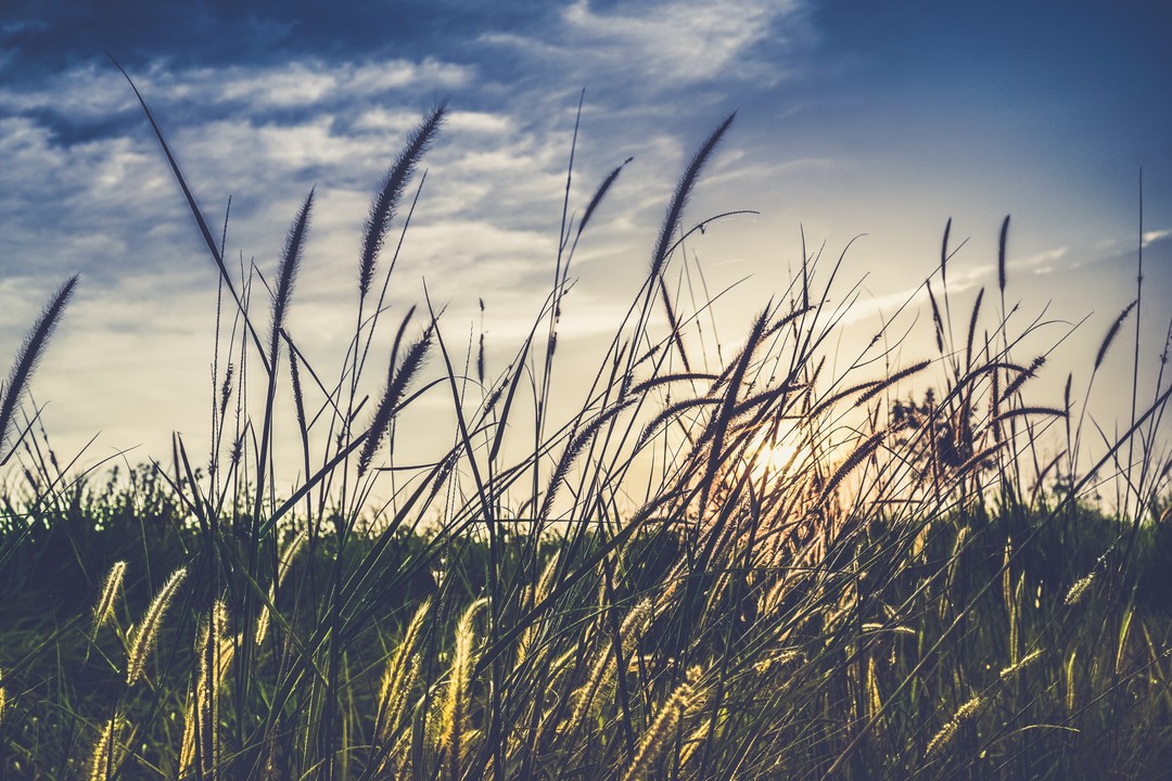 Why Resource Synergy | Erik Makinson Why Resource Synergy | Erik Makinson