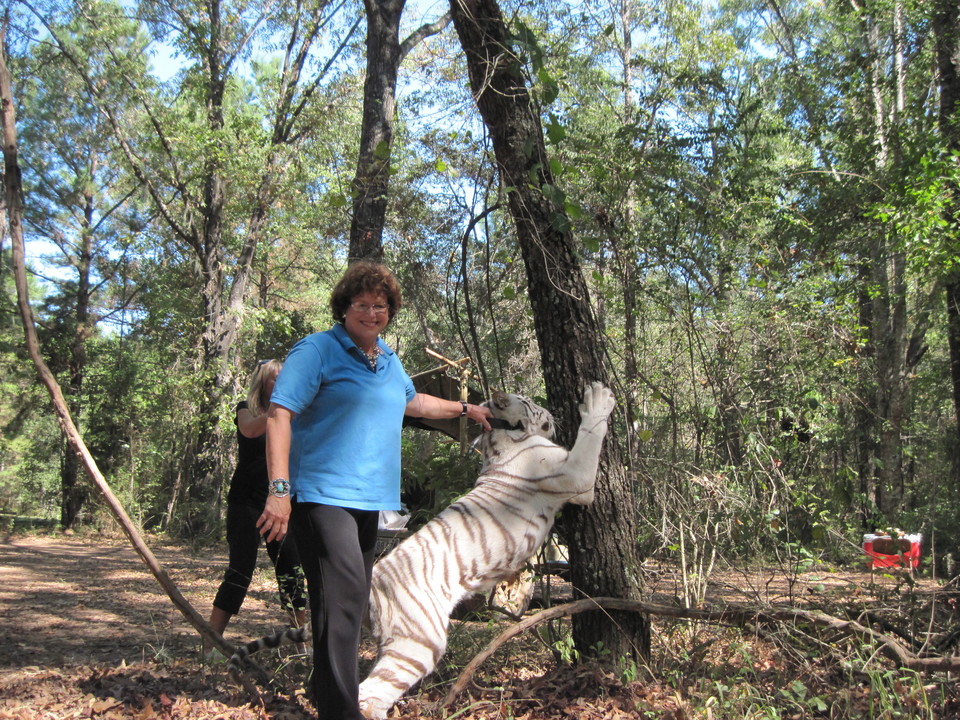 Globalizing your business is a lot like wrangling a tiger Globalizing your business is a lot like wrangling a tiger