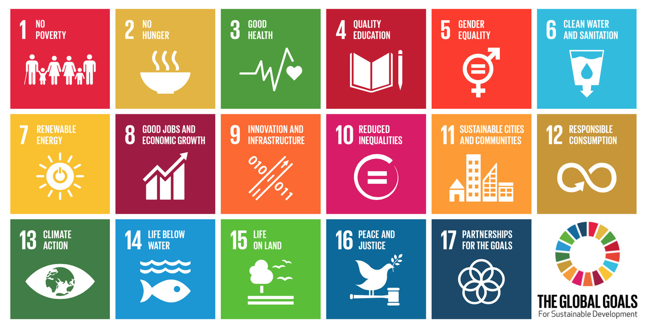 Smart taxation – a key force in achieving UN Global Goals | Femke Groothuis Smart taxation – a key force in achieving UN Global Goals | Femke Groothuis