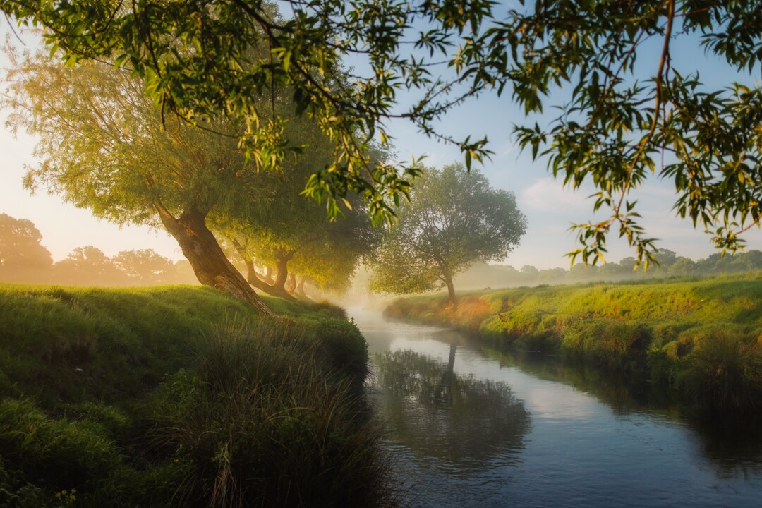 A natural re-connection: the economic imperative and risks associated ... A natural re-connection: the economic imperative and risks associated ...