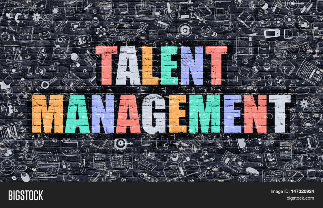 IMPORTANCE OF TALENT AND TALENT MANAGEMENT IN BUSINESS ORGANIZATIONS IMPORTANCE OF TALENT AND TALENT MANAGEMENT IN BUSINESS ORGANIZATIONS