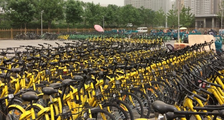 Suicide Cycling Beijing & Shanghai Suicide Cycling Beijing & Shanghai