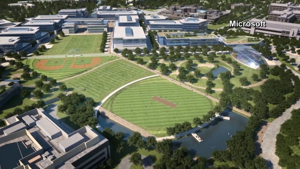 Microsoft breaks new ground ... campus cricket, anyone? Microsoft breaks new ground ... campus cricket, anyone?