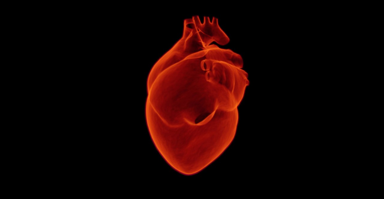 Artificial intelligence used to detect risk of heart attack Artificial intelligence used to detect risk of heart attack