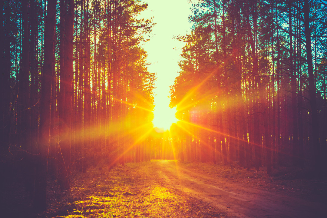 Manifesto for Bright Living. How & Why I Created My Own #Bright Way Manifesto for Bright Living. How & Why I Created My Own #Bright Way