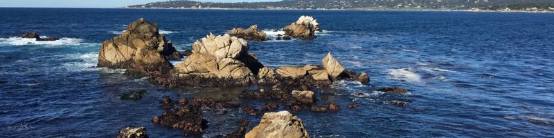 Eugene Zhang - Los Altos, California, United States | Professional ... Eugene Zhang - Los Altos, California, United States | Professional ...