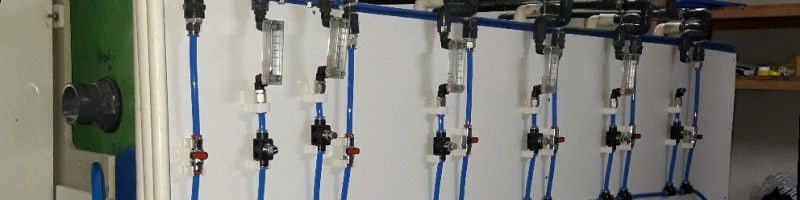 Marcin J – Technik elektryk – Trick Service J.M. | LinkedIn Marcin J – Technik elektryk – Trick Service J.M. | LinkedIn