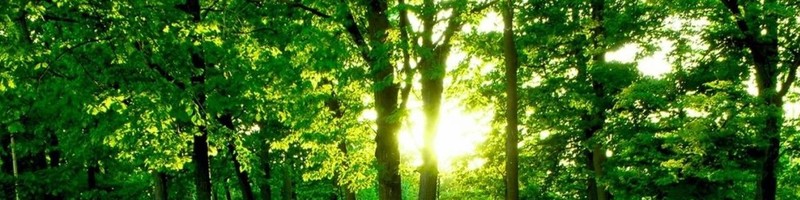 Nivedita R. Biyani, Ph.D - Researcher - National Renewable Energy ... Nivedita R. Biyani, Ph.D - Researcher - National Renewable Energy ...