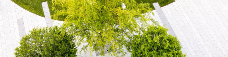 Dave Devenney - Business Developer - Brightview Landscape Services ... Dave Devenney - Business Developer - Brightview Landscape Services ...