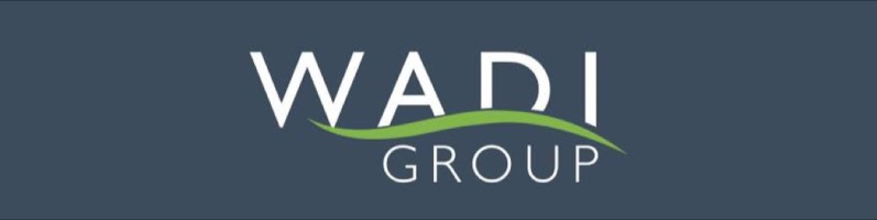 Ahmed El Hindawi - WADI Group | LinkedIn Ahmed El Hindawi - WADI Group | LinkedIn