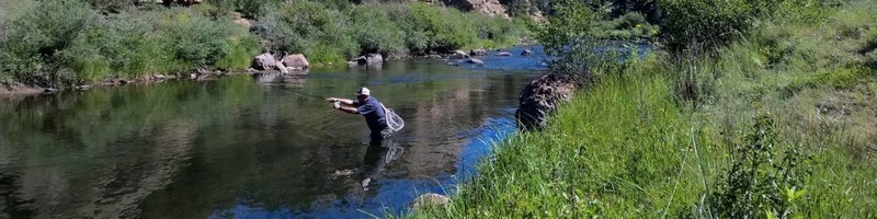 Colin Forkin - Denver, Colorado, United States | Professional Profile ... Colin Forkin - Denver, Colorado, United States | Professional Profile ...
