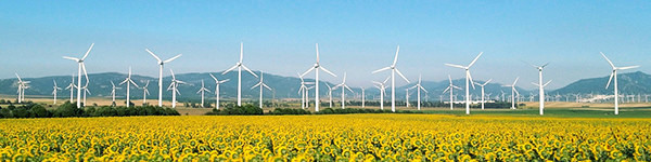 Rushi Raiyani - Recurrent Energy | LinkedIn Rushi Raiyani - Recurrent Energy | LinkedIn