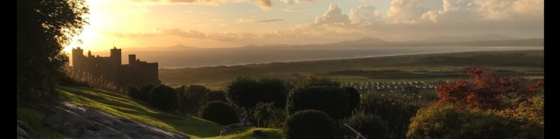 Carys Jenkins - Service Development Manager - GenesisCare | LinkedIn Carys Jenkins - Service Development Manager - GenesisCare | LinkedIn