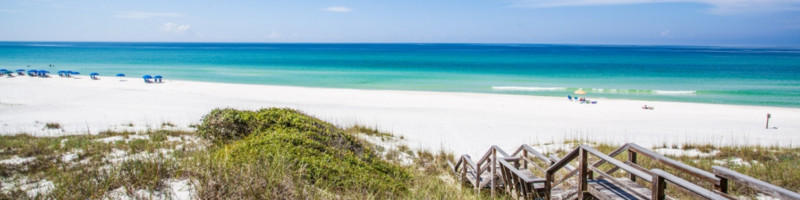 Joe McKinney - ServiceNow | LinkedIn Joe McKinney - ServiceNow | LinkedIn