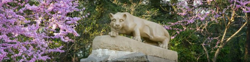 Jaime Patterson-Vaughn - Strayer University - Reading, Pennsylvania ... Jaime Patterson-Vaughn - Strayer University - Reading, Pennsylvania ...
