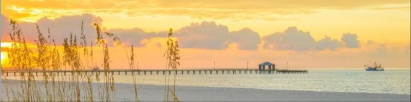 Frederick Schaub - Singing River Health System | LinkedIn Frederick Schaub - Singing River Health System | LinkedIn