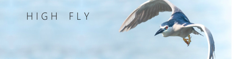 Varad Sampath - Wells Fargo | LinkedIn Varad Sampath - Wells Fargo | LinkedIn