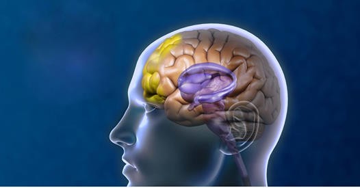 Angie Castro on LinkedIn: Home Page - NeuroStar Angie Castro on LinkedIn: Home Page - NeuroStar