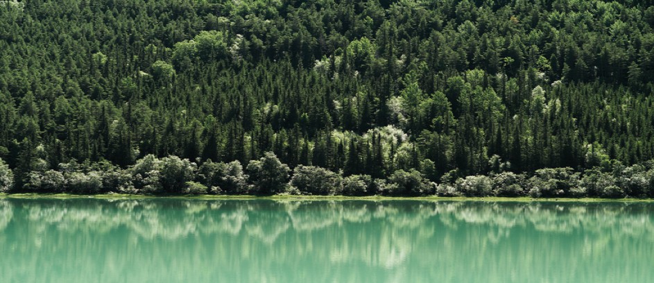EnviroSense International Limited on LinkedIn: EUDR - How should ... EnviroSense International Limited on LinkedIn: EUDR - How should ...
