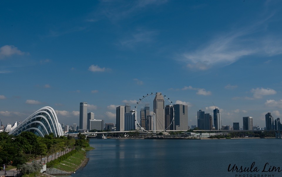 IOSH Singapore Branch | LinkedIn IOSH Singapore Branch | LinkedIn
