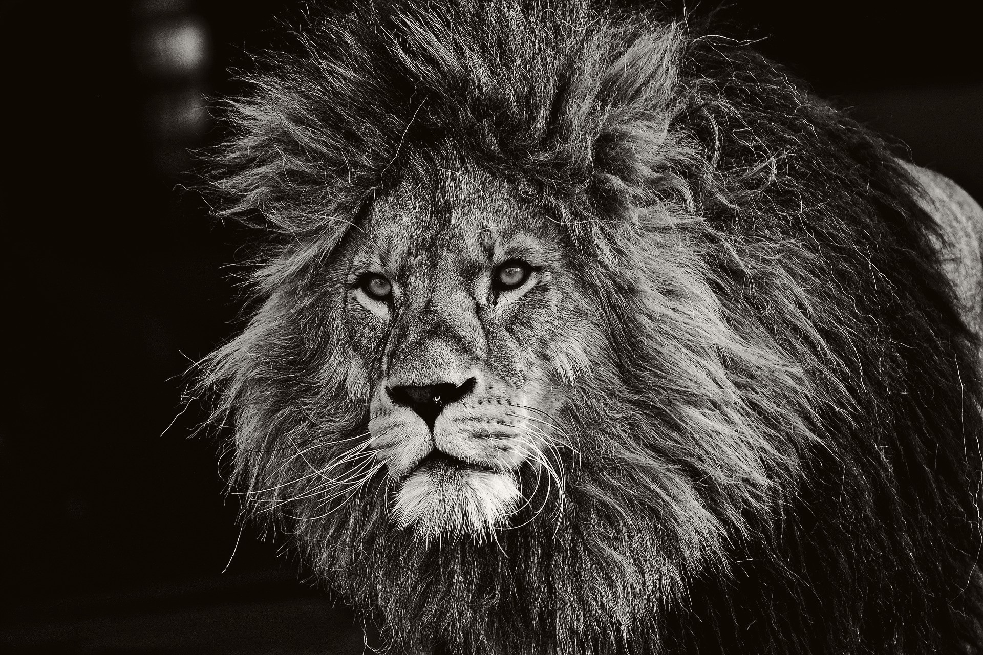 Empowering Success | LinkedIn Empowering Success | LinkedIn