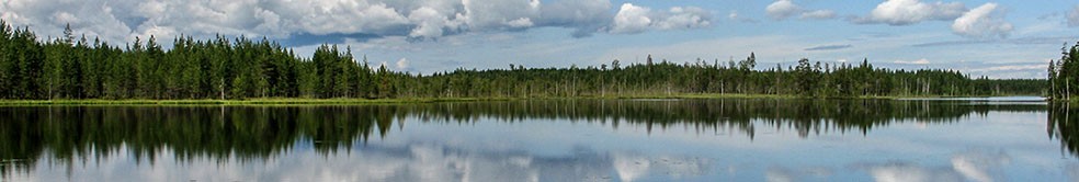 Otava Kirjapaino on LinkedIn: Otava on vuoden perheyritys 2024 Otava Kirjapaino on LinkedIn: Otava on vuoden perheyritys 2024