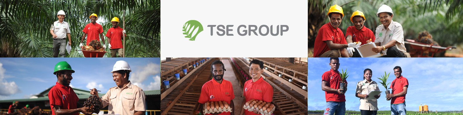 Tunas Sawa Erma Group on LinkedIn: Tunas Sawa Erma (TSE) Group commits ... Tunas Sawa Erma Group on LinkedIn: Tunas Sawa Erma (TSE) Group commits ...