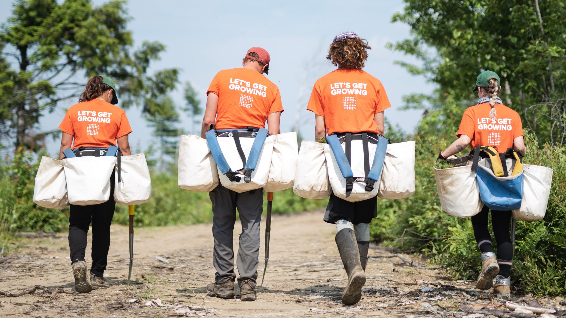 Canada's Forest Trust Corporation partners with Forests Canada to plant ... Canada's Forest Trust Corporation partners with Forests Canada to plant ...