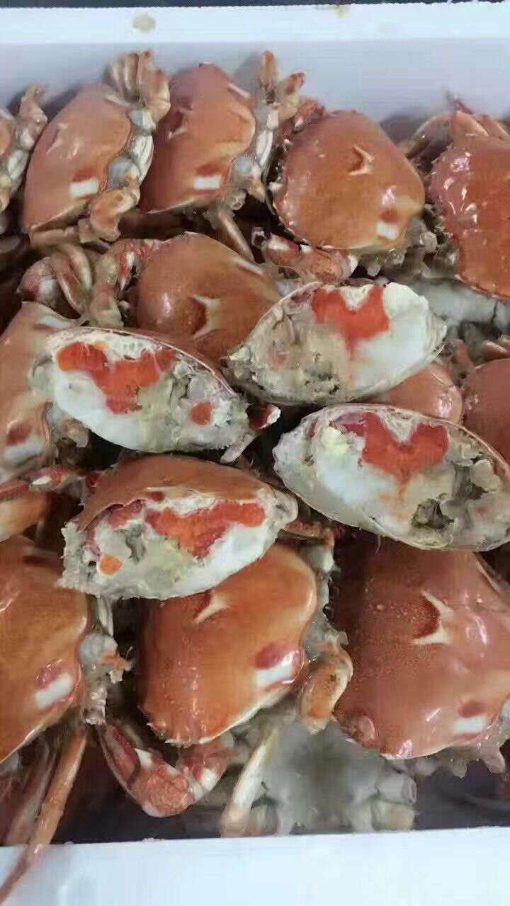 Leon CAI on LinkedIn: Whole frozen steamed swimming crab size : 44 ... Leon CAI on LinkedIn: Whole frozen steamed swimming crab size : 44 ...