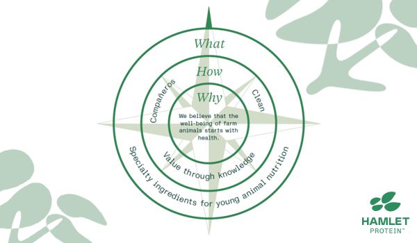 Erik Visser on LinkedIn: #hamletprotein #organizationalculture #purpose ... Erik Visser on LinkedIn: #hamletprotein #organizationalculture #purpose ...