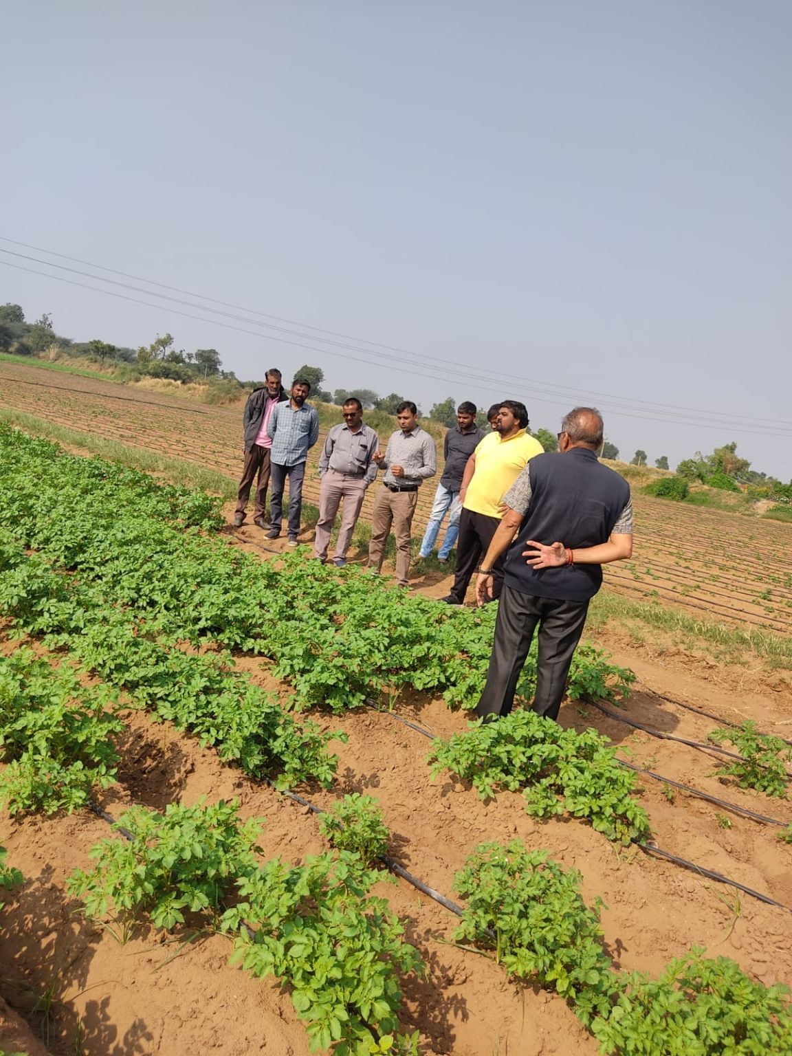 Rahul Barhate on LinkedIn: Discussion with Potato Farmers about ... Rahul Barhate on LinkedIn: Discussion with Potato Farmers about ...