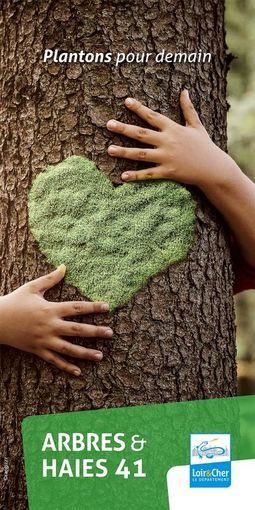 🌳 Aux Arbres Citoyens ! | Anaïs Gascon 🌳 Aux Arbres Citoyens ! | Anaïs Gascon