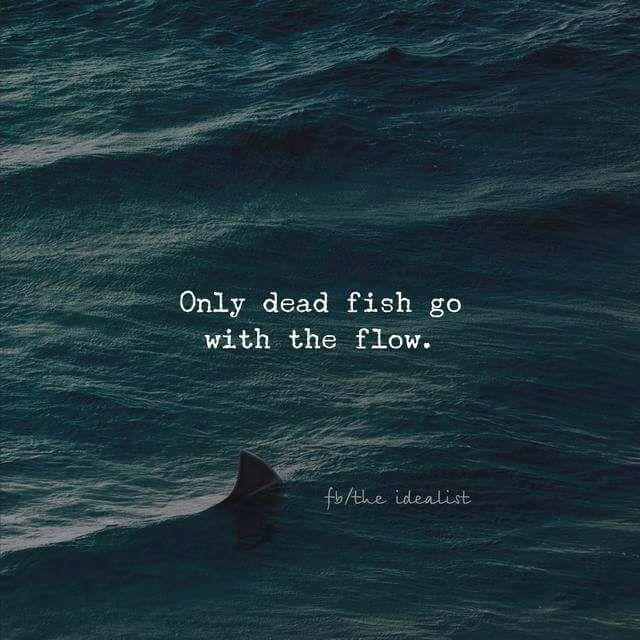 Nikhil Garg on LinkedIn: Absolutely... Nikhil Garg on LinkedIn: Absolutely...