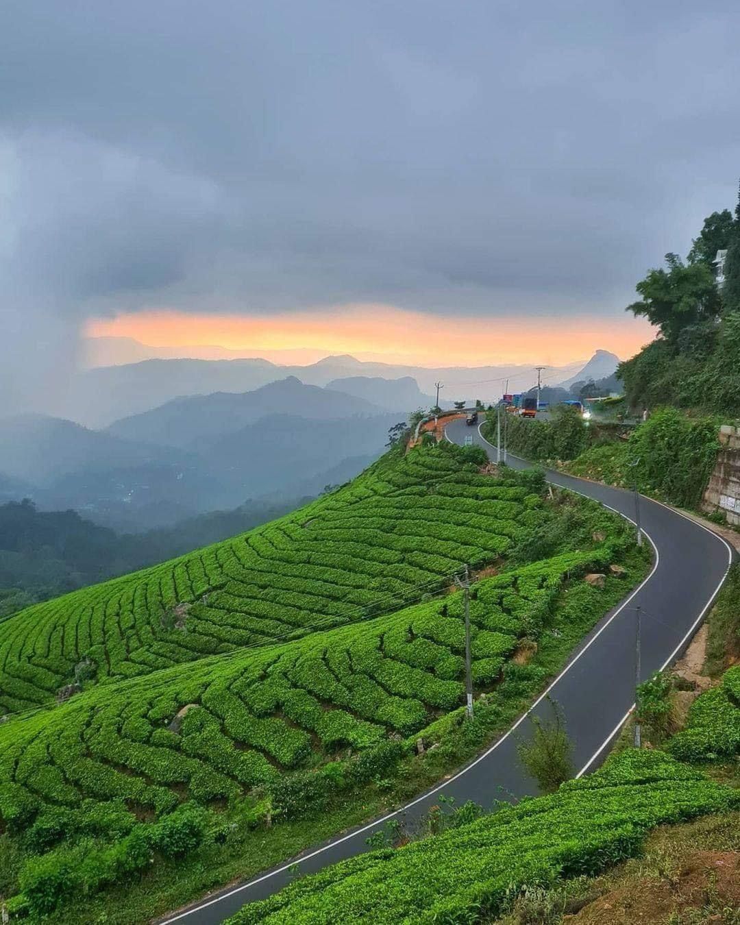 Maria Crestin on LinkedIn: Munnar Kerala India | 589 comments Maria Crestin on LinkedIn: Munnar Kerala India | 589 comments