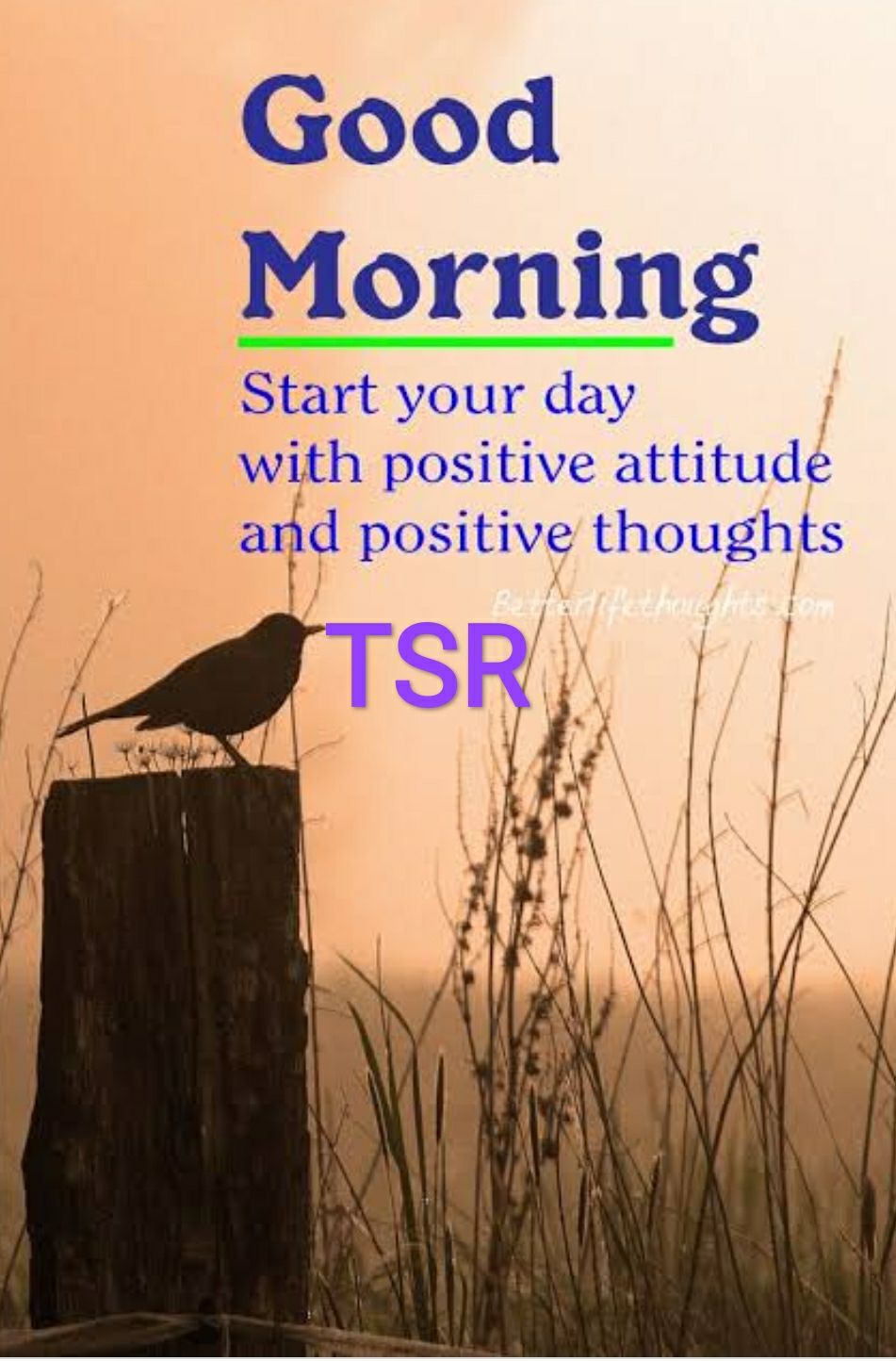 Sasidhar Reddy Thiyyagura(TSR) posted on LinkedIn Sasidhar Reddy Thiyyagura(TSR) posted on LinkedIn