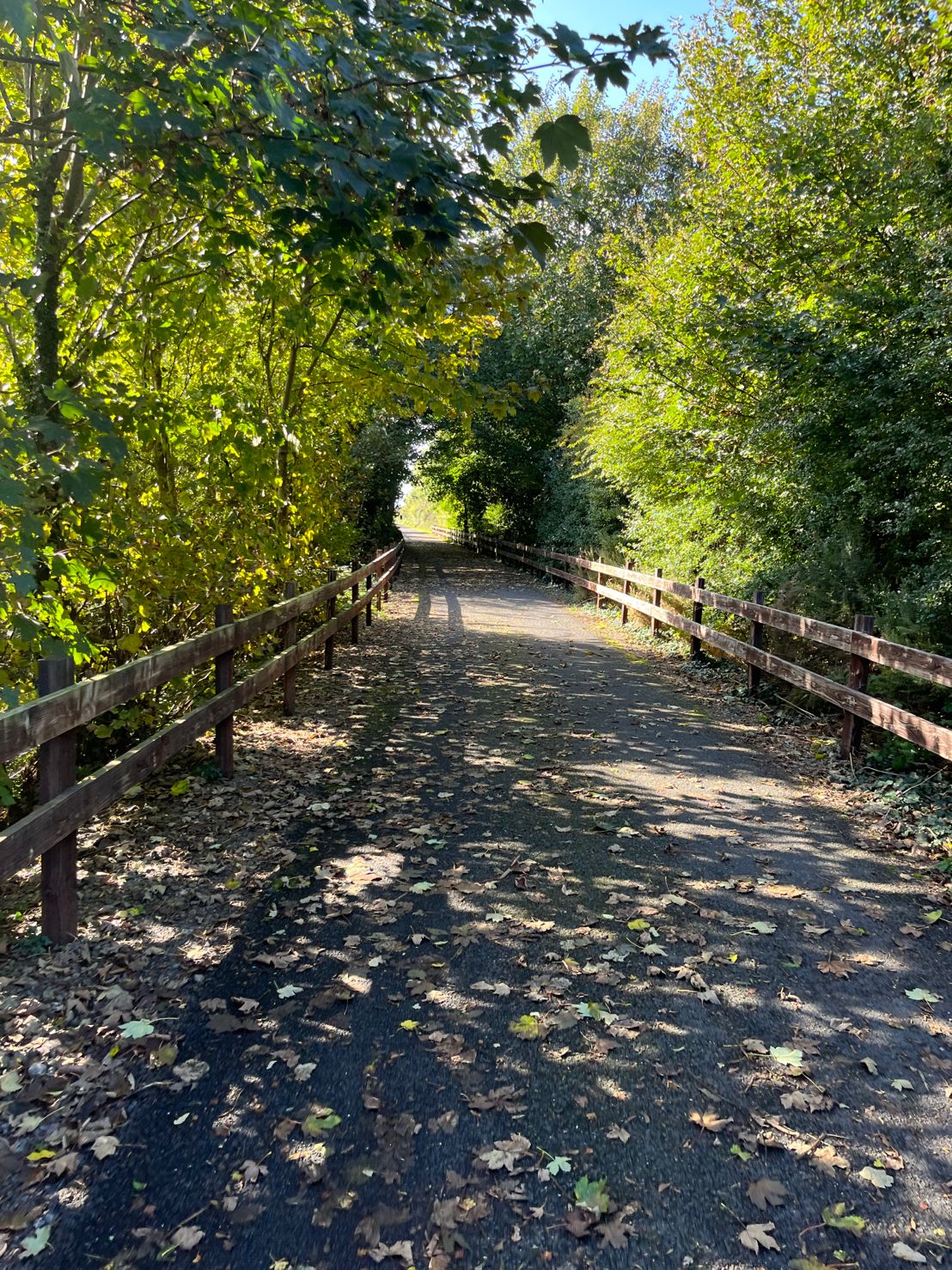 John McSweeney BA (Mgmt) QFA LIB on LinkedIn: #aib #wellness # ... John McSweeney BA (Mgmt) QFA LIB on LinkedIn: #aib #wellness # ...