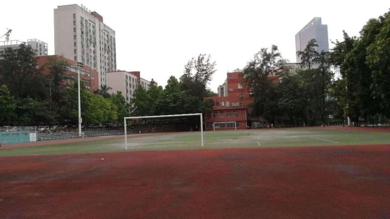 米娅 on LinkedIn: Just finished running 米娅 on LinkedIn: Just finished running