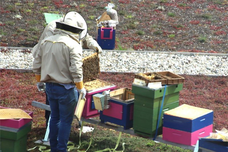 Reneé Remijnse on LinkedIn: #essity #belgiumbees Reneé Remijnse on LinkedIn: #essity #belgiumbees