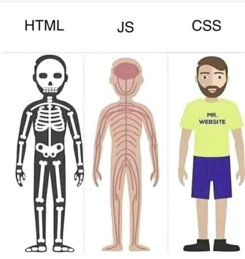 Alireza Varmaghani on LinkedIn: #javascript #html #css #angular Alireza Varmaghani on LinkedIn: #javascript #html #css #angular