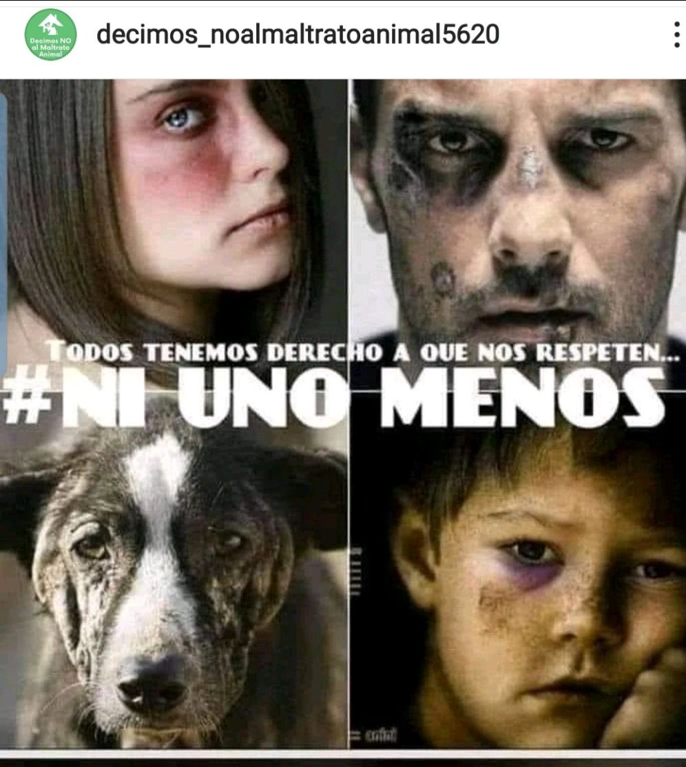PATRICIA Gillezeau Berrios posted on LinkedIn PATRICIA Gillezeau Berrios posted on LinkedIn