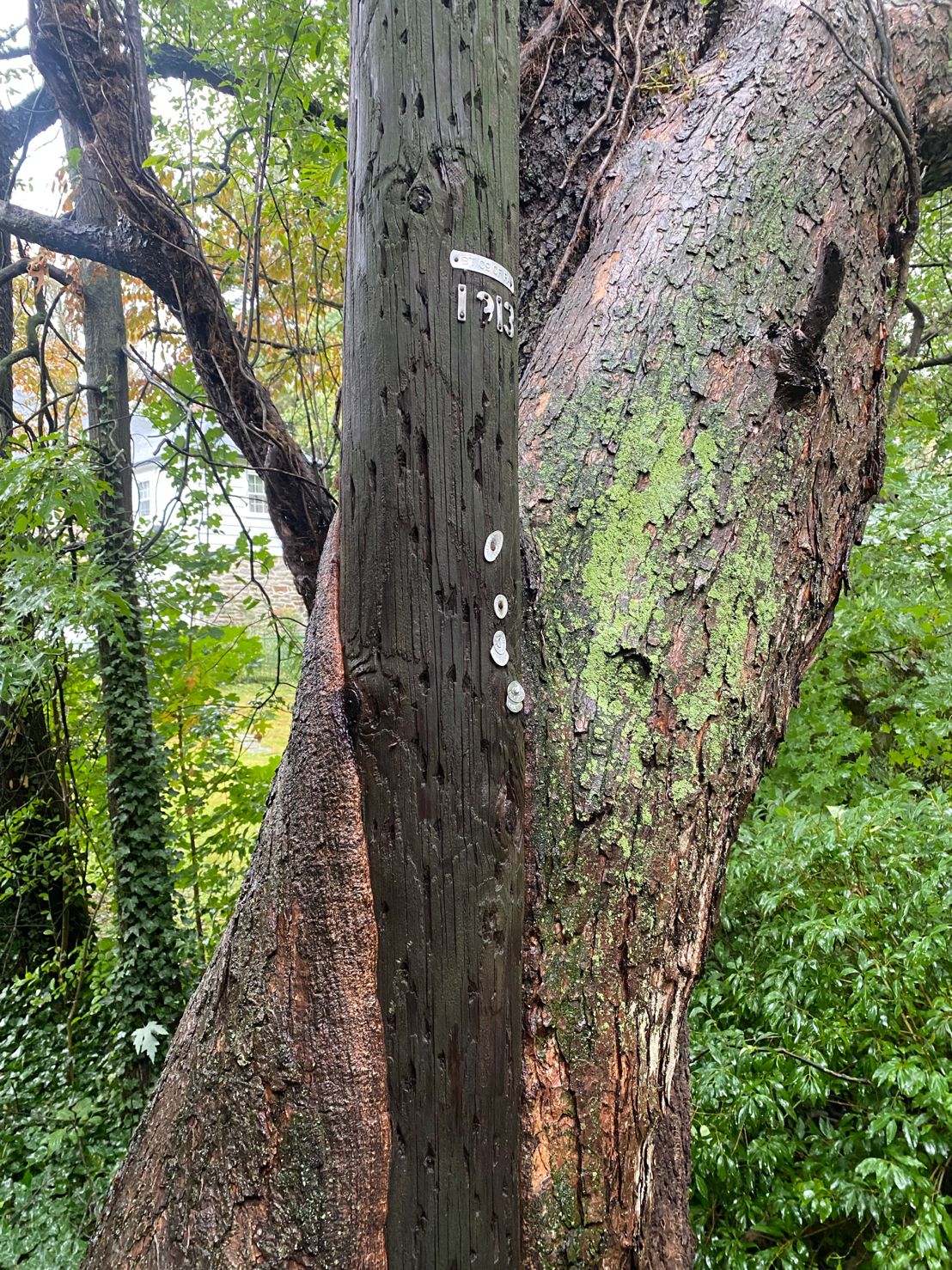 Josh Baldoni on LinkedIn: This pole is stronger than any motivational ... Josh Baldoni on LinkedIn: This pole is stronger than any motivational ...