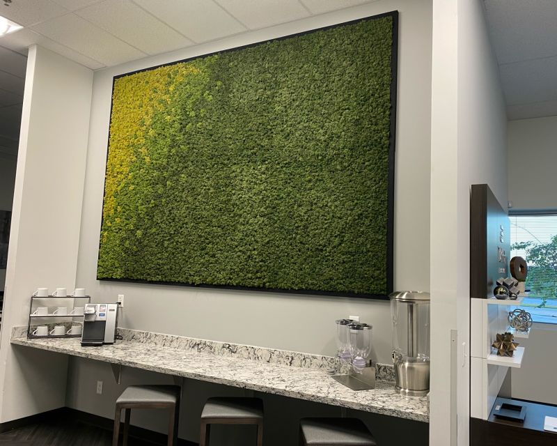 Our Team Installed Our New Quiet Earth Moss Wall While Adding a a ... Our Team Installed Our New Quiet Earth Moss Wall While Adding a a ...