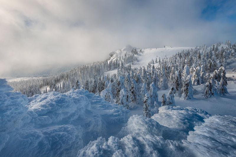 Michael Breitung on LinkedIn: #photography #winter Michael Breitung on LinkedIn: #photography #winter