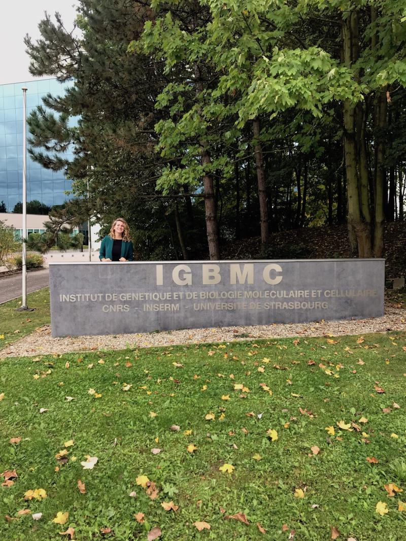 Julia Popp on LinkedIn: #imgc2019 Julia Popp on LinkedIn: #imgc2019
