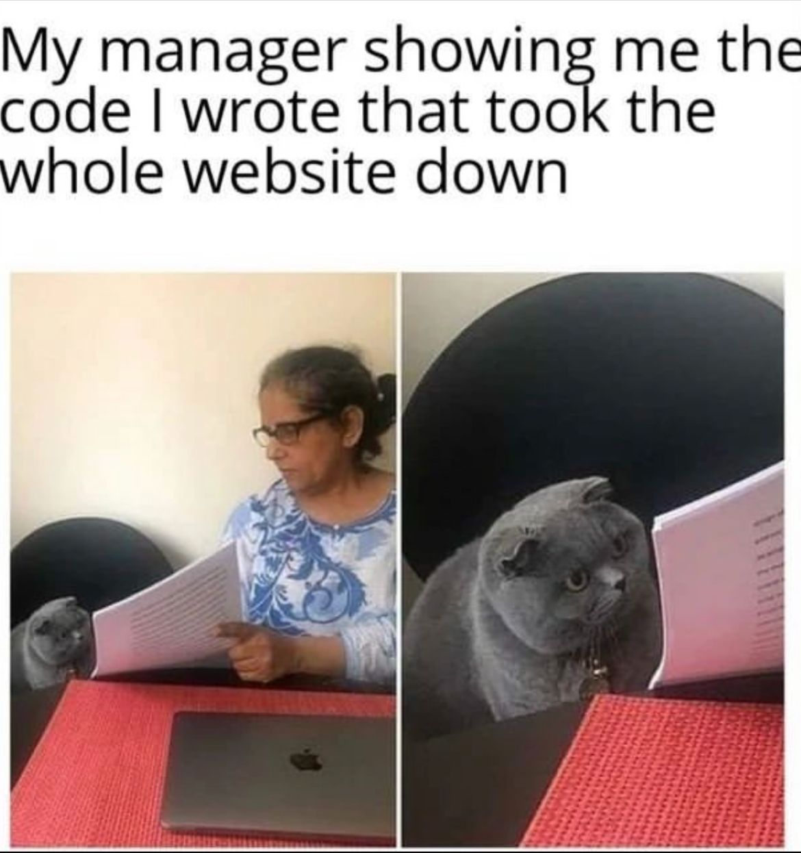 Heather Johnson-Ledlie on LinkedIn: #programming #programminghumor # ... Heather Johnson-Ledlie on LinkedIn: #programming #programminghumor # ...