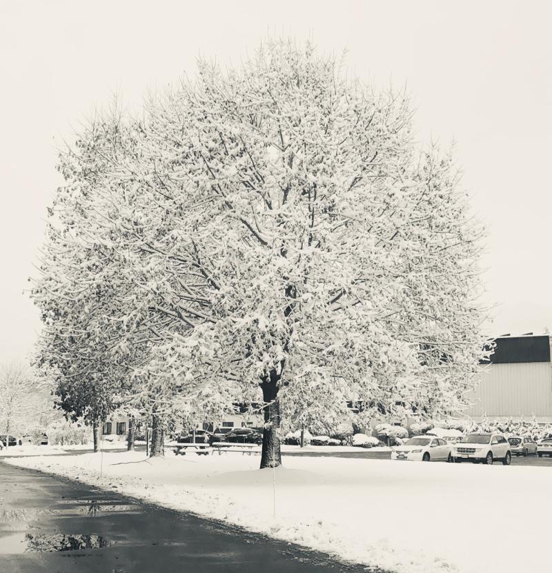 Greetings from Clancy Relocation & Logistics winter wonderland today οΈ ... Greetings from Clancy Relocation & Logistics winter wonderland today οΈ ...