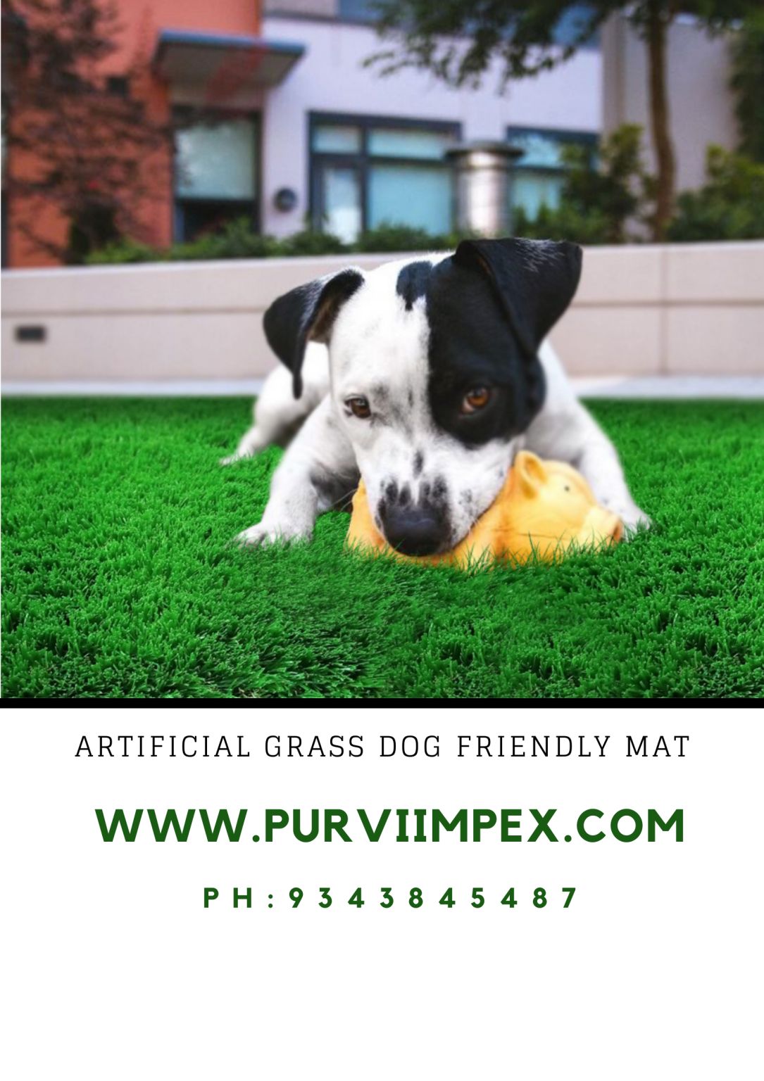Purvi Impex posted on LinkedIn Purvi Impex posted on LinkedIn