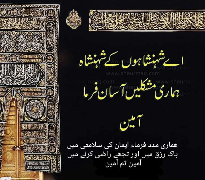 Hadiqa Shaikh posted on LinkedIn Hadiqa Shaikh posted on LinkedIn