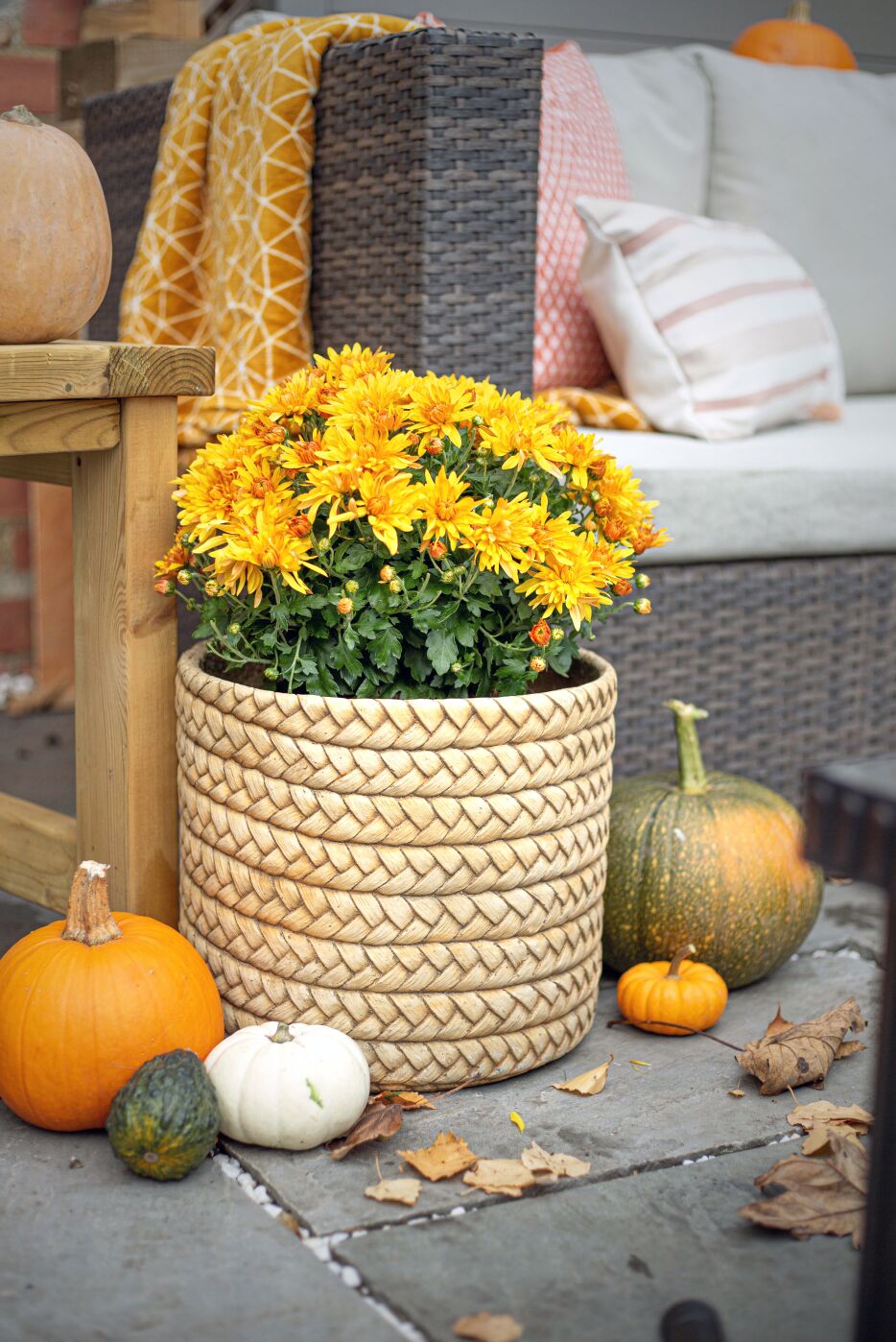 Apta Pottery on LinkedIn: #apta #amesuk #planters #plantpot # ... Apta Pottery on LinkedIn: #apta #amesuk #planters #plantpot # ...